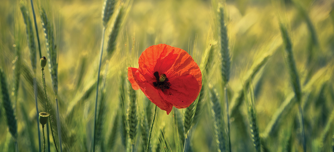 2023 ANZAC Day services in Queenstown Lakes