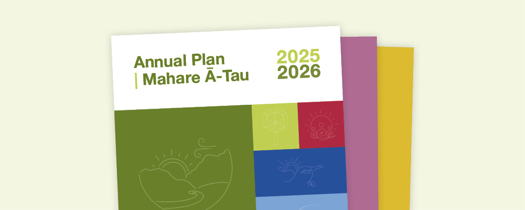 QLDC - Stormwater flood hazard maps