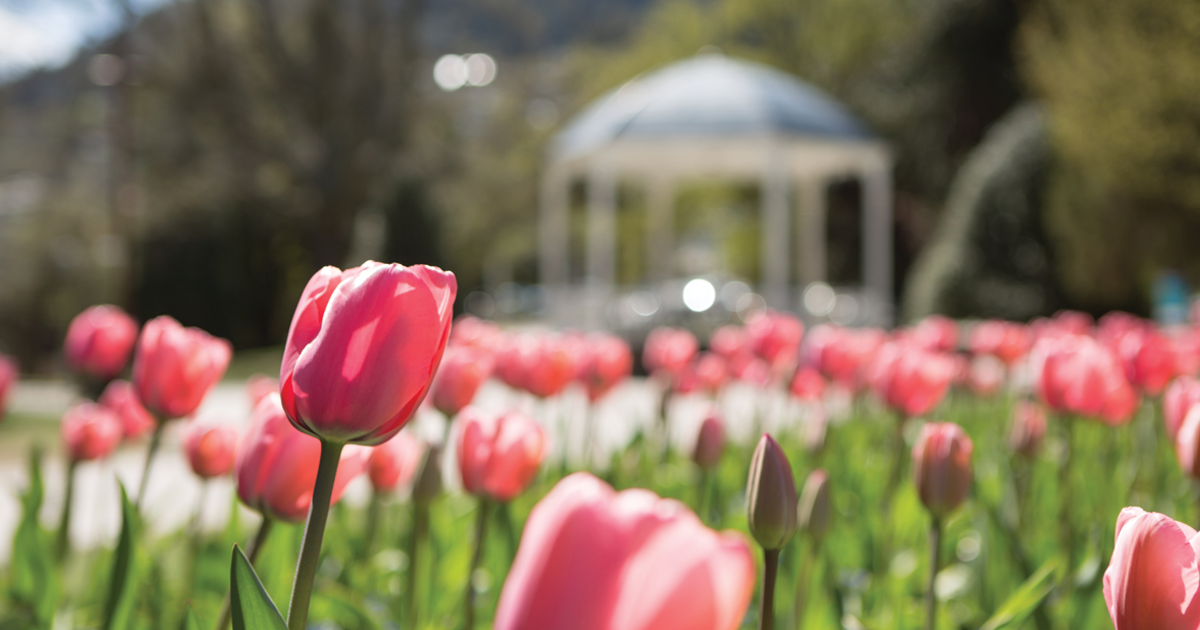 Blue Green Network Plan to enhance and protect parks, trails, waterways ...