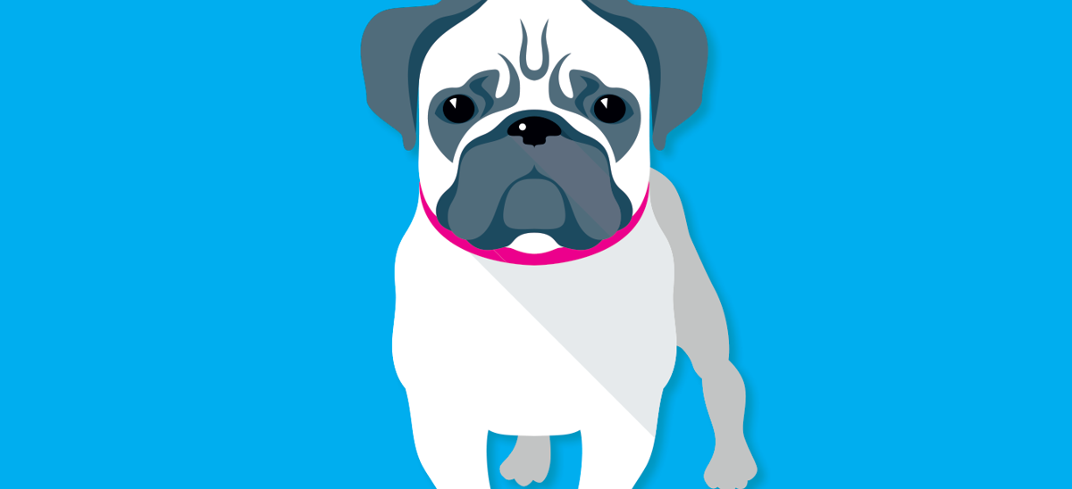 20 01 30 Community feedback sought on proposed changes to QLDC Dog ...