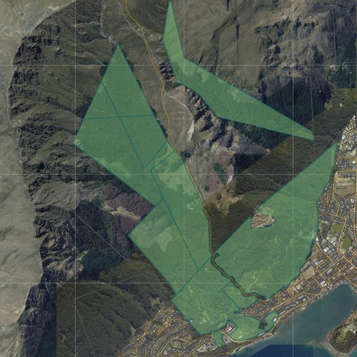 Managing the risk of wildfire | Queenstown Lakes District Council