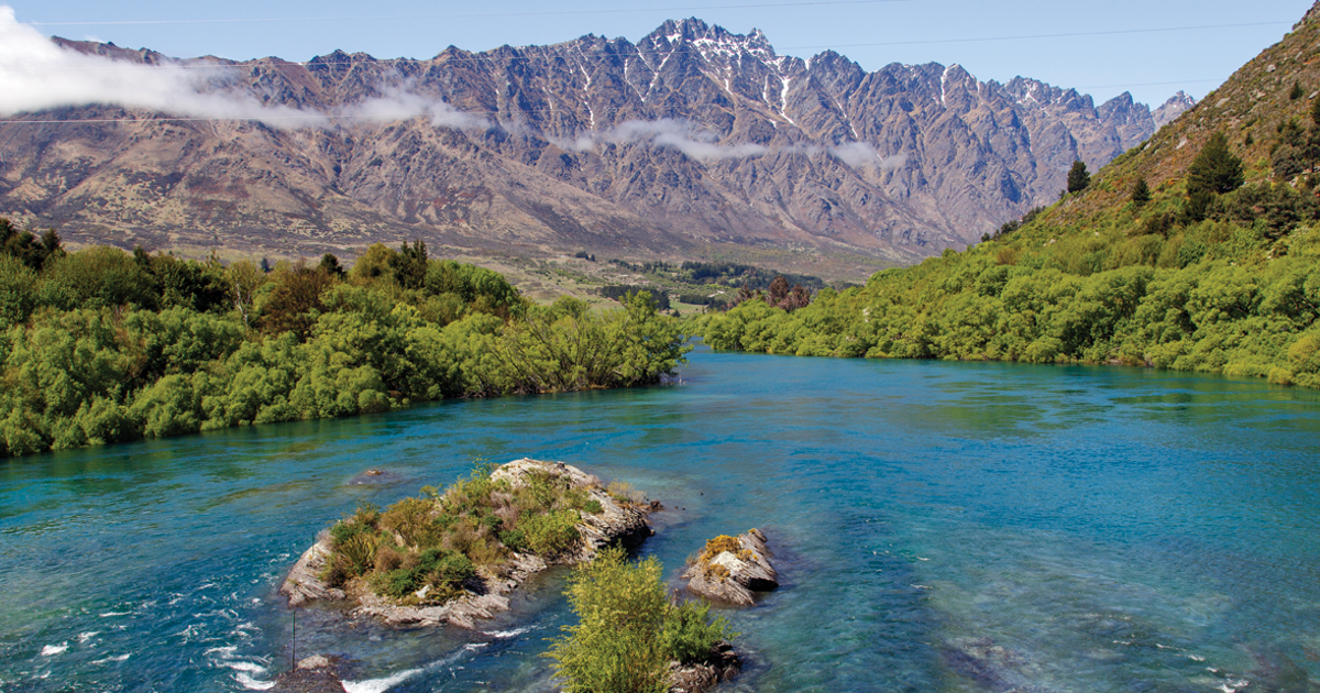 QLDC - Blue-Green Network Plan